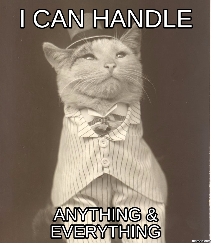 You Can Do It Meme Cat