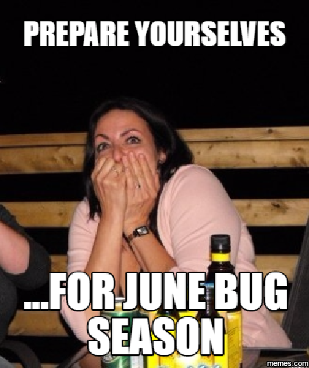 Junebug Memes