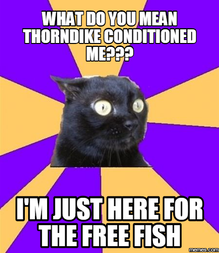 Operant Conditioning Memes That's Psych!: B.F. Skinner And Cry Babies