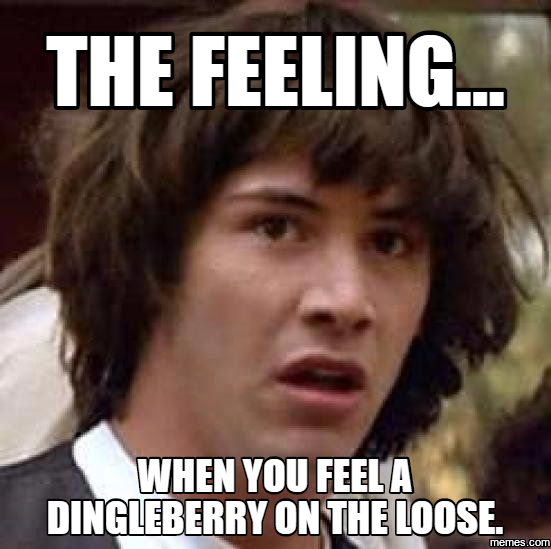 Dingleberry Memes