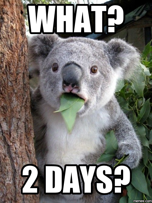 TONIGHT IS THE NIGHT THAT RONDA GET'S KO'D!!! CAN'T WAIT!!! | Page 16 ...