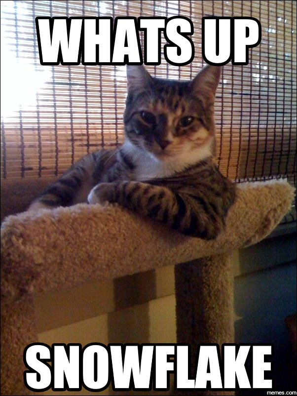 Unique Snowflake Memes SPECIAL SNOWFLAKES SPECIAL SNOWFLAKES