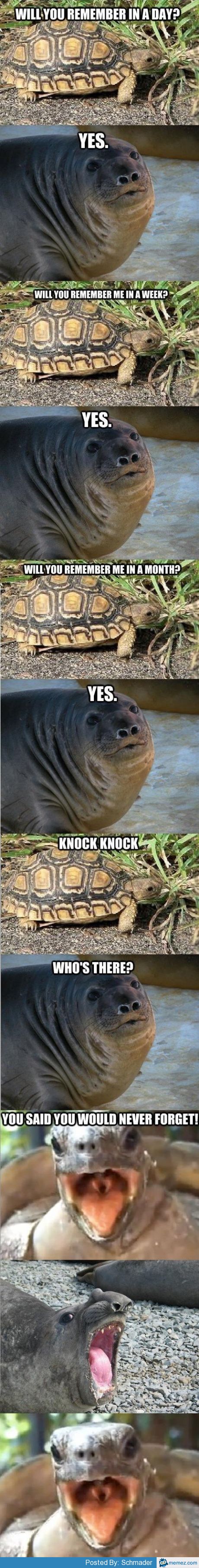 Strange Wilderness Memes