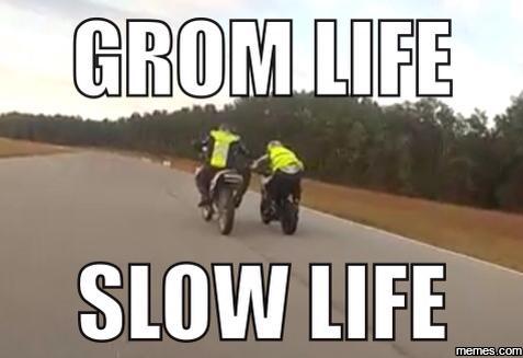 Grom Memes Homophobes before Enchanting Grom Fright: : TheOwlHouse