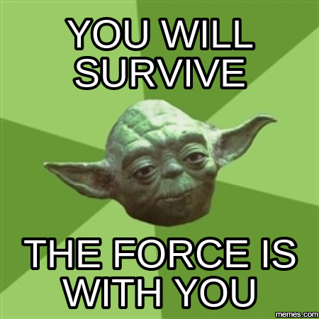 You Survived Meme Life Beyond The Meme: What Happens After You Go