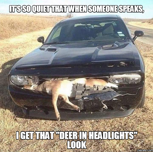 Memes About Headlights
