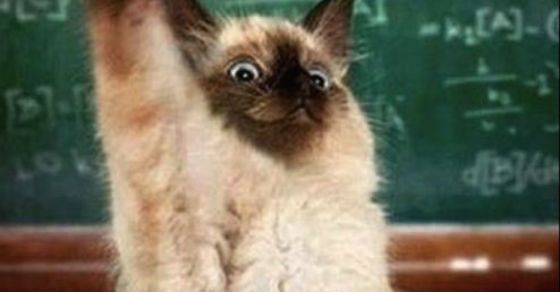 Waving your hand... | memes.com