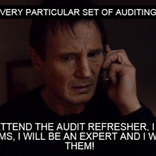 Memes About Auditors